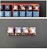 Benemate 12 keycap Set, 5-Side Dye-subbed PBT R4 Keycaps, DIY Cherry ...