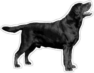 Amazon.com: BLACK LAB - Dog Decal - sticker labrador retriever car ...