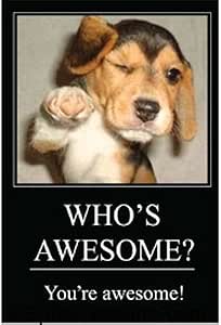 Amazon.com | WHO'S AWESOME? You're awesome! - RECTANGLE MAGNET by ...