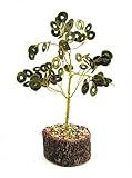 Literal Money Tree