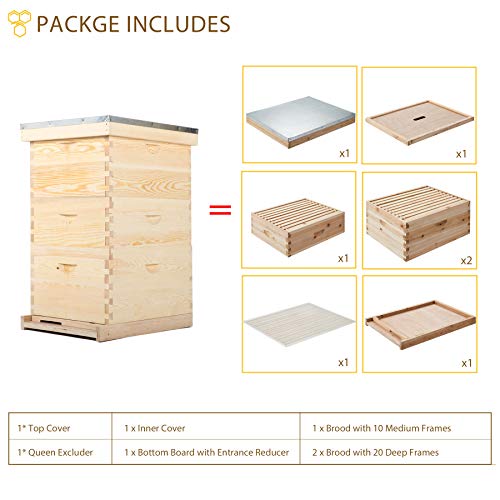 TERRADISE Bee Hive, 3 Layer Honey Bee Hives, Beekeeping Supplies Beehive Kit with 10 Medium 20 ...