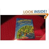 My Light: How Sunlight Becomes Electricity: Molly Bang: 9780439489614 ...