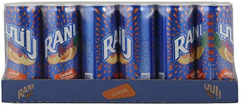 RANI FLOAT COCKTAIL 240MLX24 price in UAE | Amazon UAE | supermarket ...