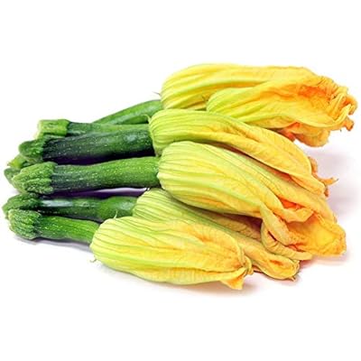 Zucchini Green Blossoms Edible Flower Seeds Pack of Philippines | Ubuy