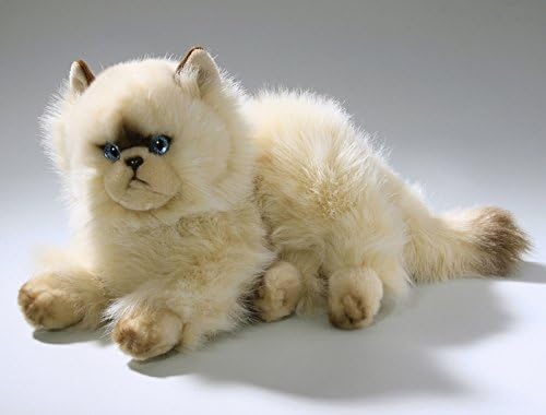 Cat, Himalayan Chocolate Point, Persian 12 inches, 30cm, Plush Toy ...