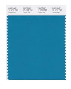 PANTONE Smart 17-4730X Color Swatch Card, Caneel Bay - Wall Decor ...