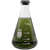 Erlenmeyer Flask Decanter