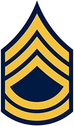 Amazon.com: JS Artworks United States Army Sergeant First Class SFC E-7 ...