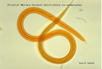 Amazon.com: Filarial Worm; A factual short story about nematodes ...