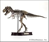 T-Rex Dinosaur Trophy Wall Sculpture - The Green Head
