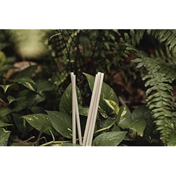 Amazon.com: Avocado Seed Straws - Extra Strength 100% Biodegradable ...