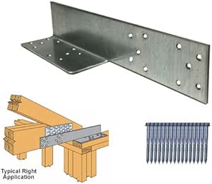 Amazon.com: Simpson Strong Tie DSC2L-SDS3 16 Drag Strut Left with 20 ...
