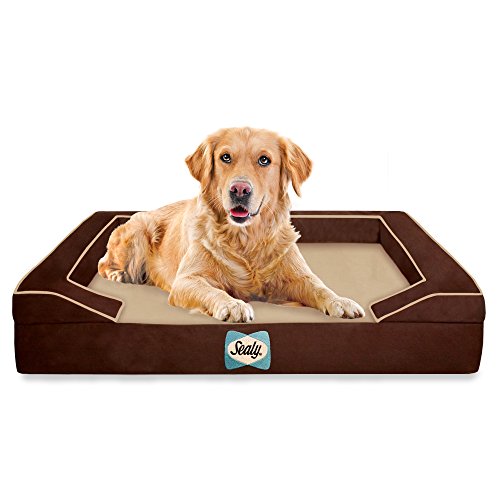 Best Dog Trundle Beds Reviewed - [2021 May]