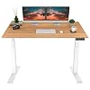 FLEXISPOT E8 Dual Motor 3 Stages Bamboo Electric Standing Desk 60x30 ...