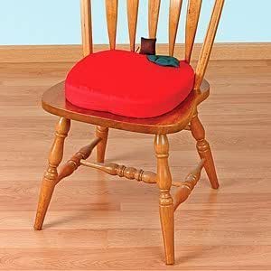 Amazon.com: Decorative Apple Chair Pad: Kitchen & Dining