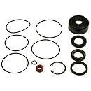 Amazon.com: Edelmann 8855 Power Steering Gear Box Major Seal Kit ...