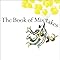 The Book of Mistakes : Luyken, Corinna, Luyken, Corinna: Books