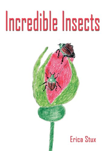 Incredible Insects: Stux, Erica: 9781618632111: Amazon.com: Books
