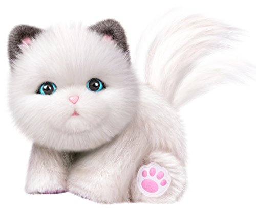 Little-Live-Pets-Cuddles-My-Dream-Kitten - Affordable Educational Toys ...