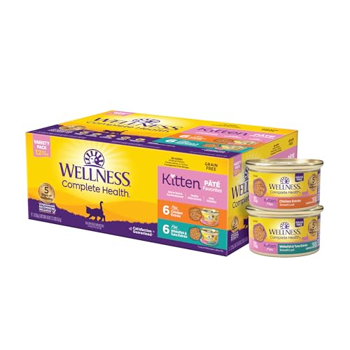 Wellness Complete Health Pate Kitten Wet Cat Food, Natural, Protein ...