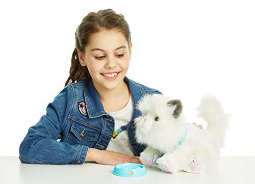 Little-Live-Pets-Cuddles-My-Dream-Kitten - Affordable Educational Toys ...