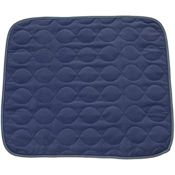 Amazon.com: Inspire Washable Waterproof Chair Pad for Incontinence, 18 ...
