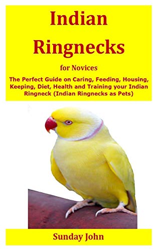 Buy Indian Ringnecks for Novices: The Perfect Guide on Caring, Feeding ...