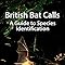British Bat Calls A Guide To Species Identification Bat Biology And