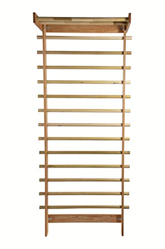 9 Best Stall Bars for Your Home or Garage Gym Reviewed 2019