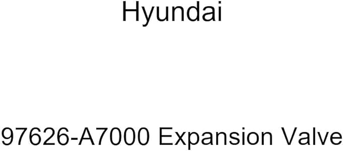 Amazon.com: Genuine Hyundai 97626-A7000 Expansion Valve: Automotive