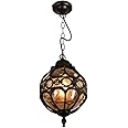 ENKUODE Retro Outdoor Pendant Light Industrial Vintage Outside ...