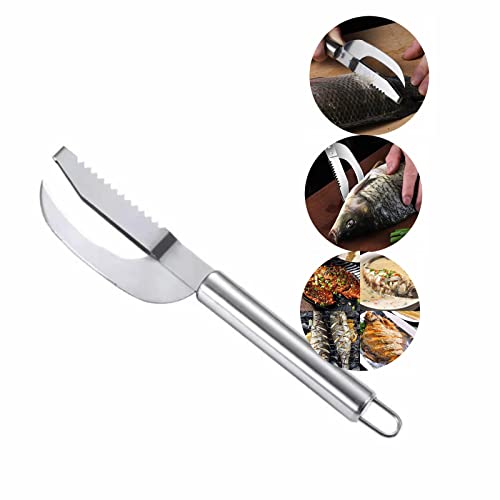 Fish Servers Oman | Buy Online | Whizz Others