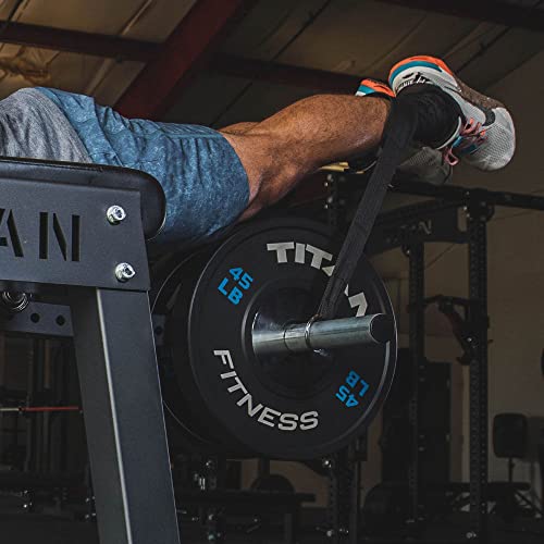 Titan Fitness H-PND, Reverse Hyperextensions Lower Body Machine, Rated ...