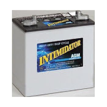Amazon.com: Deka Intimidator Battery (AGM) 8A24M: Automotive