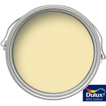 Dulux Pale Citrus - Silk Emulsion Paint - 2.5L: Amazon.co.uk: Kitchen ...