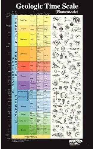 470154-022 - Geologic Time Scale 23in x 37in Poster (Phanerozoic ...