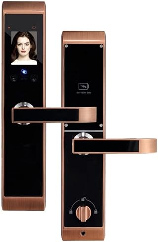 Electronic Lock Intelligent Handprint & Face price in Egypt | Amazon ...