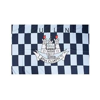 Amazon.com : Dublin Official Ireland GAA Crest County Flag 152cm x91cm ...