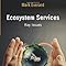 Ecosystem Services Key Issues in Environment and Sustainability: Amazon ...