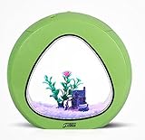 Fishscape - Mountainous Fishbowl - The Green Head