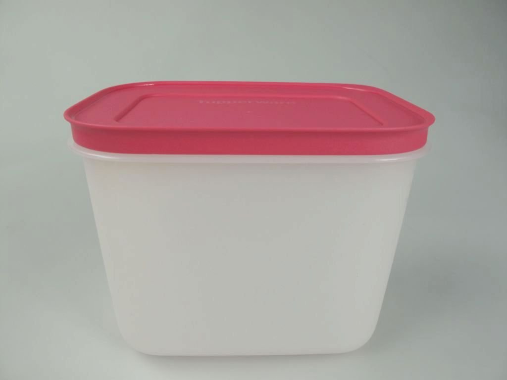 TUPPERWARE Caja de Congelación de 1,1 L blanco rosa: Amazon.es: Hogar