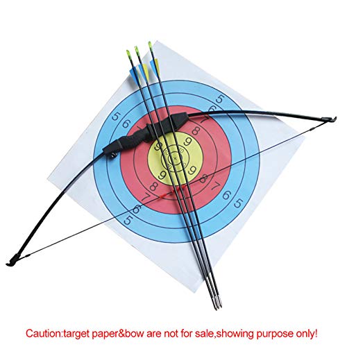 CQ Archery Fiberglass Target Practice Arrows 28inch Recurve Bow Arrows ...