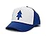 Amazon.com: Gravity Falls - Dipper's Hat - Officially Licensed: Clothing