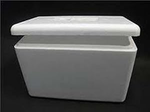40 Litre Polystyrene Box Within A Cardboard Box. Cool Box - Fish Box ...