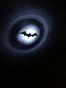 Amazon.com: BATMAN Handheld Projection Flashlight : Tools & Home ...