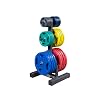 Body-Solid WT46 Olympic Weight Plate Tree and Bar Holder in Kuwait ...