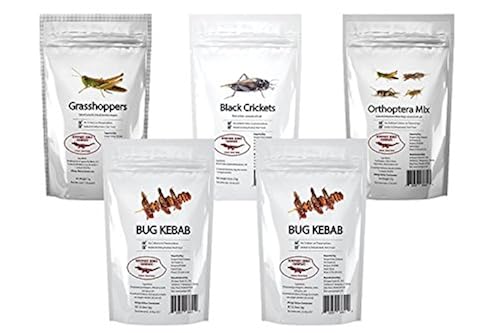 Newport Jerky Company Edible Insects | Edible Bug Sampler| Edible ...