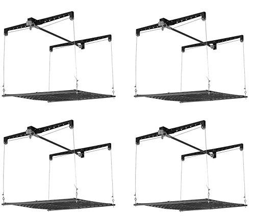 Купить Racor PHL-1R Pro HeavyLift 4-by-4-Foot Cable-Lifted Storage Rack ...