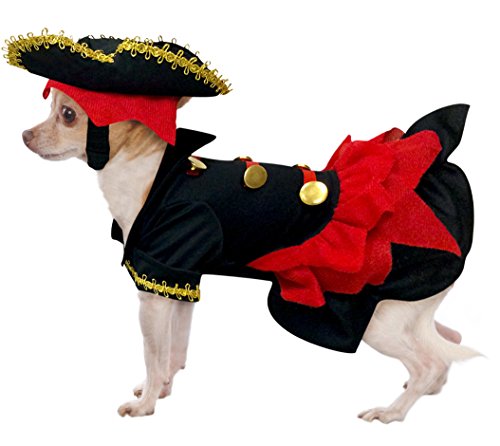 Pirate Dog Halloween Costumes - Best Costumes for Halloween