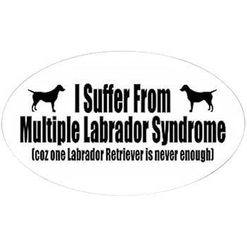 Amazon.com: This Vehicle Has Been Lab Tested Vinyl Window Decal ...